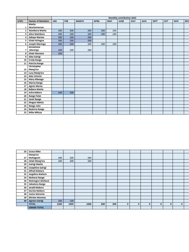 Monthly Contribution 2025 | PDF