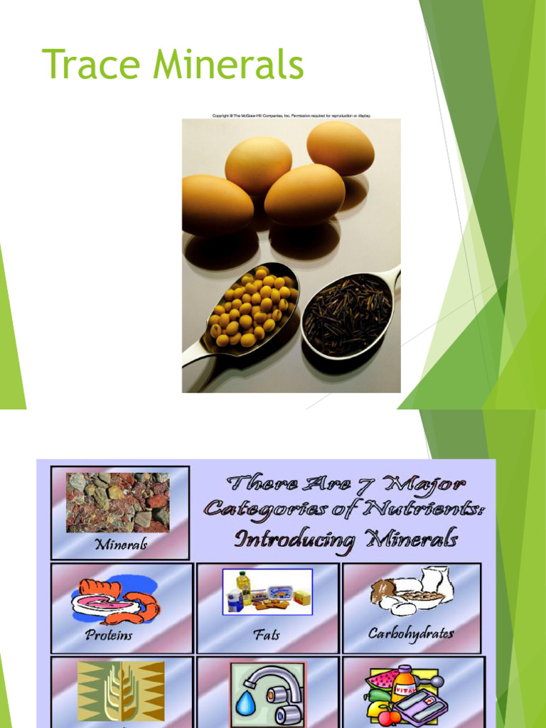Trace Minerals 1 | PDF | Iron | Zinc