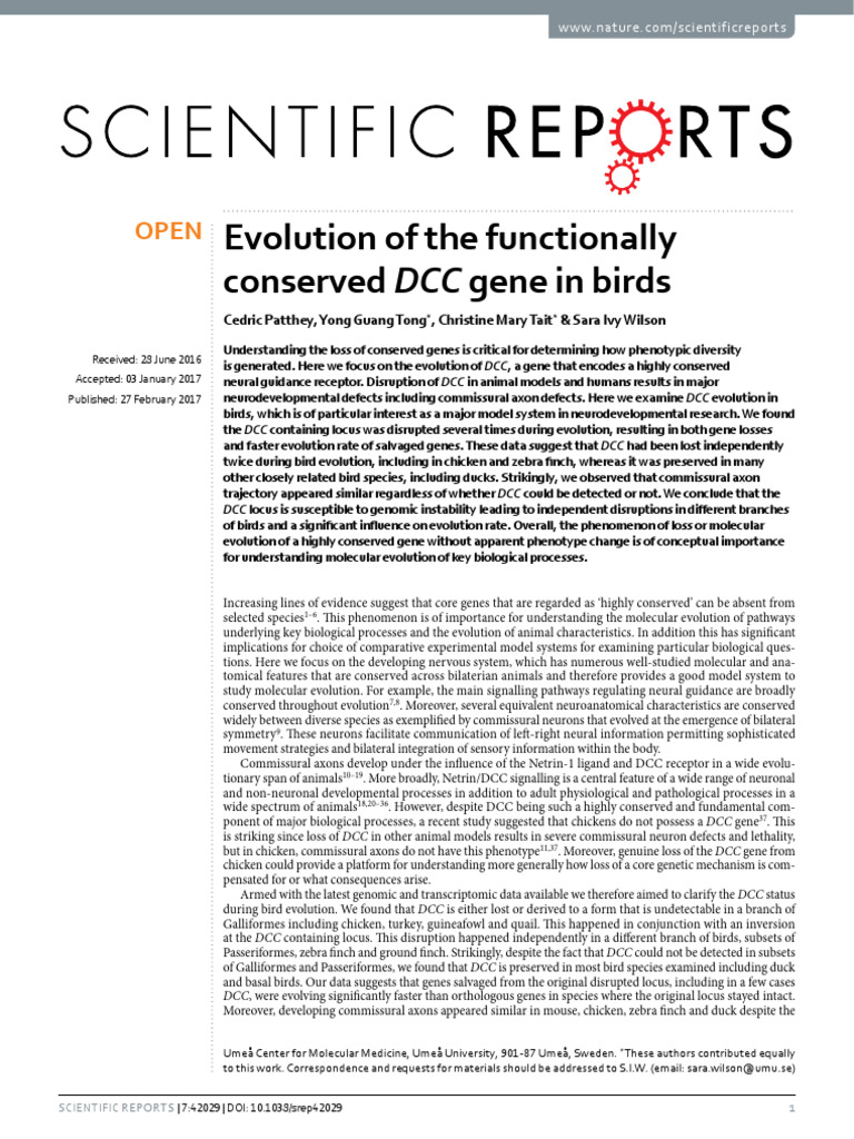 Evolution of The Functionally Conserved DCC Gene in Birds Cedric ...
