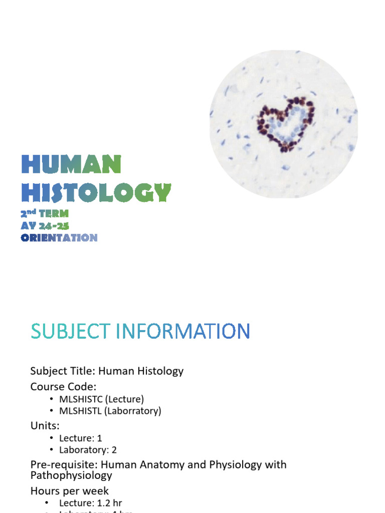 Human Histology Course Overview 24-25 | PDF | Epithelium | Endoplasmic ...