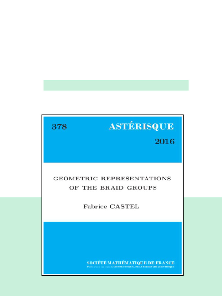 Geometric Representations Of The Braid Groups Fabrice Castel Full ...