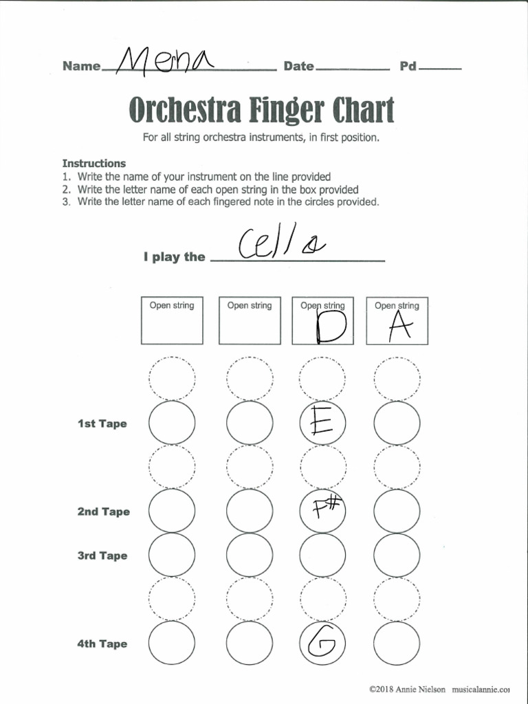 String Orchestra Finger Chart Guide | PDF