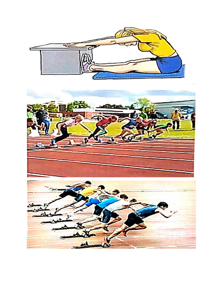 PE Pics | PDF