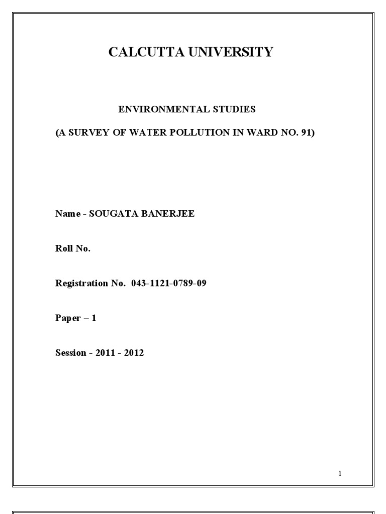Ev Project | PDF | Water Pollution | Water And Politics