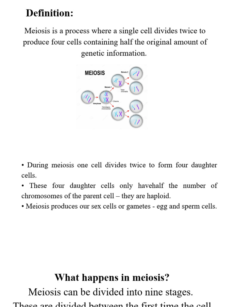 Meiosis is a process where a single cell divides twice to produce four ...