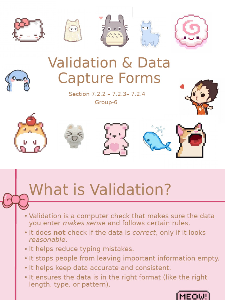 Validation DataCapture GP 6 | PDF | Page Layout | Computing