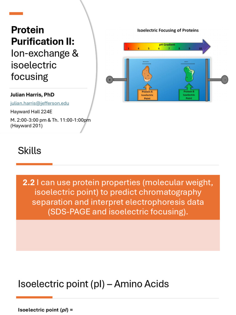 Ion_Exchange_Isoelectric_Focusing (1) | PDF | Protein Purification ...
