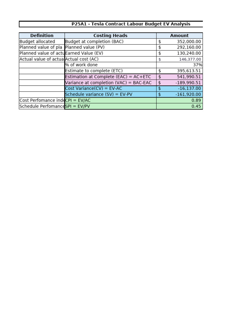 Tesla EV Contract Labour Budget Analysis | PDF