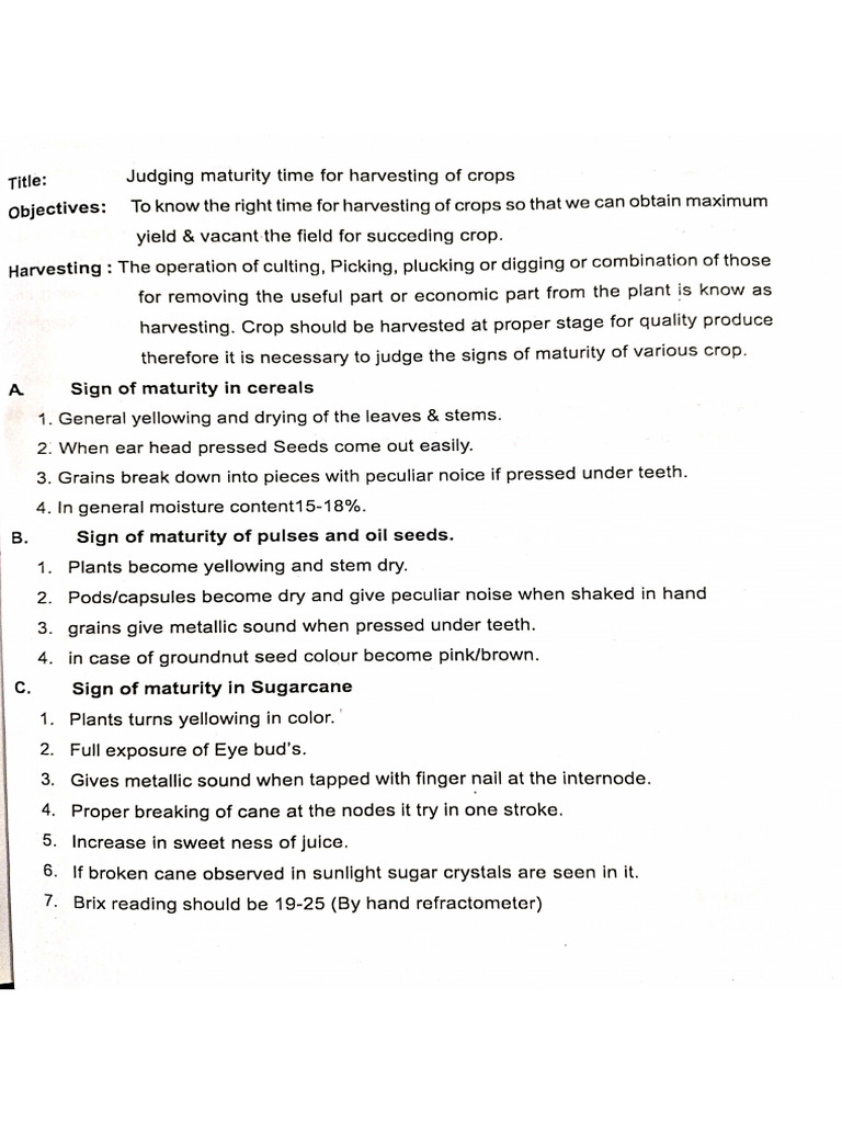 Sign of Maturity of Crops | PDF