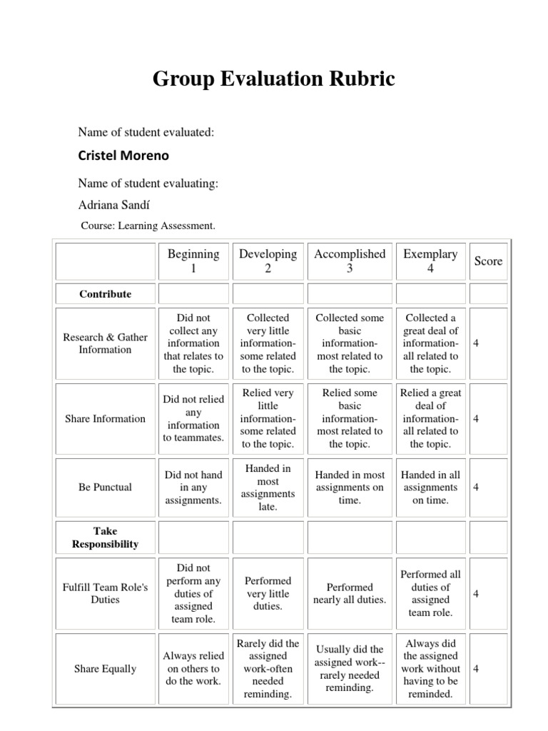 Group Evaluation Rubric - CM | PDF