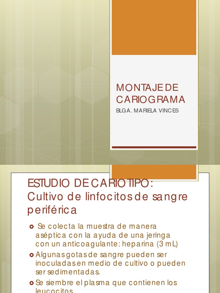 Montaje de Cariograma | PDF | Cromosoma | Genética