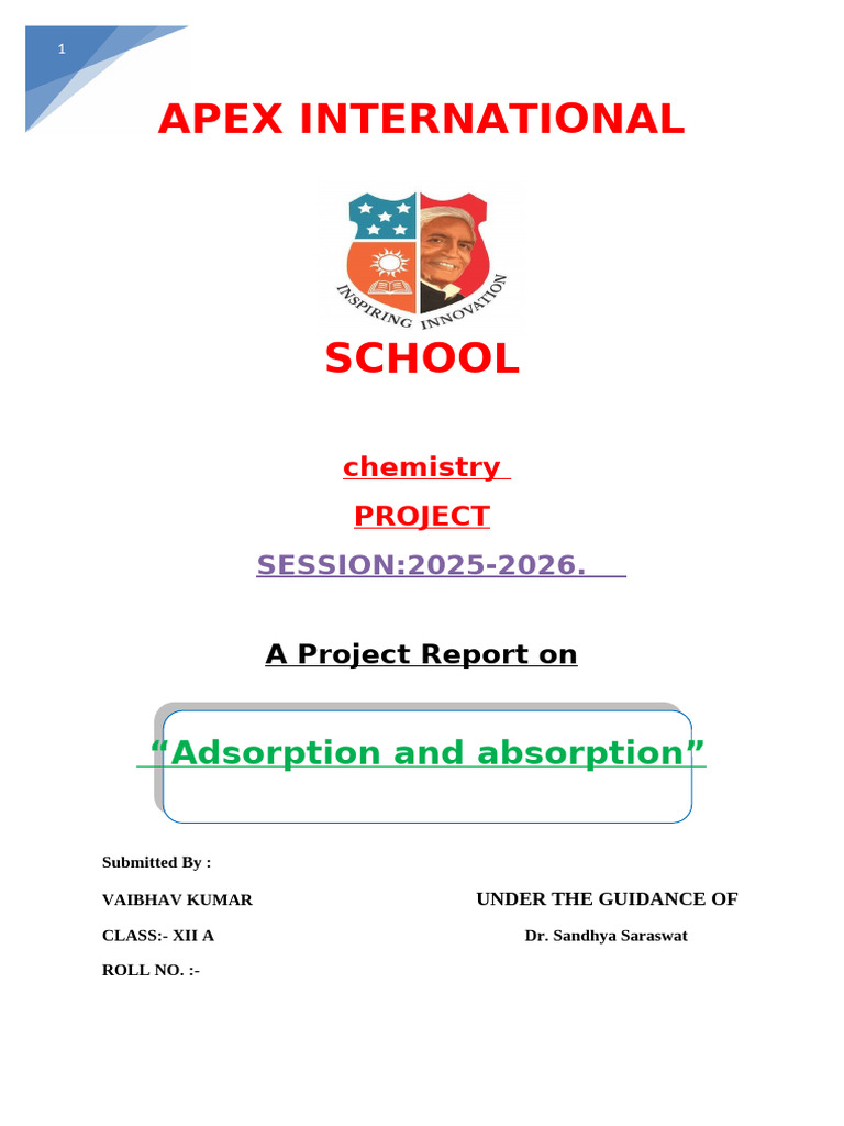 Vaibhav School Project File | PDF