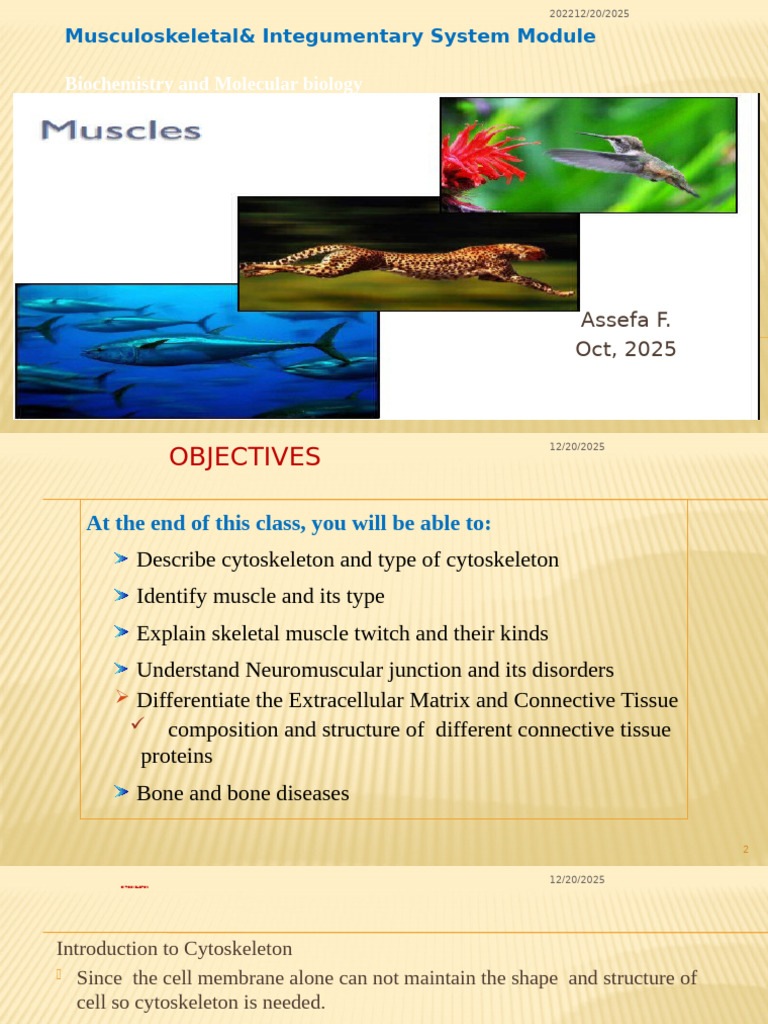 Musculoskeletal System Overview and Functions | PDF | Glycolysis ...