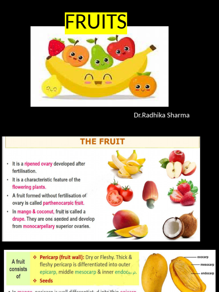 Fruit Pdf