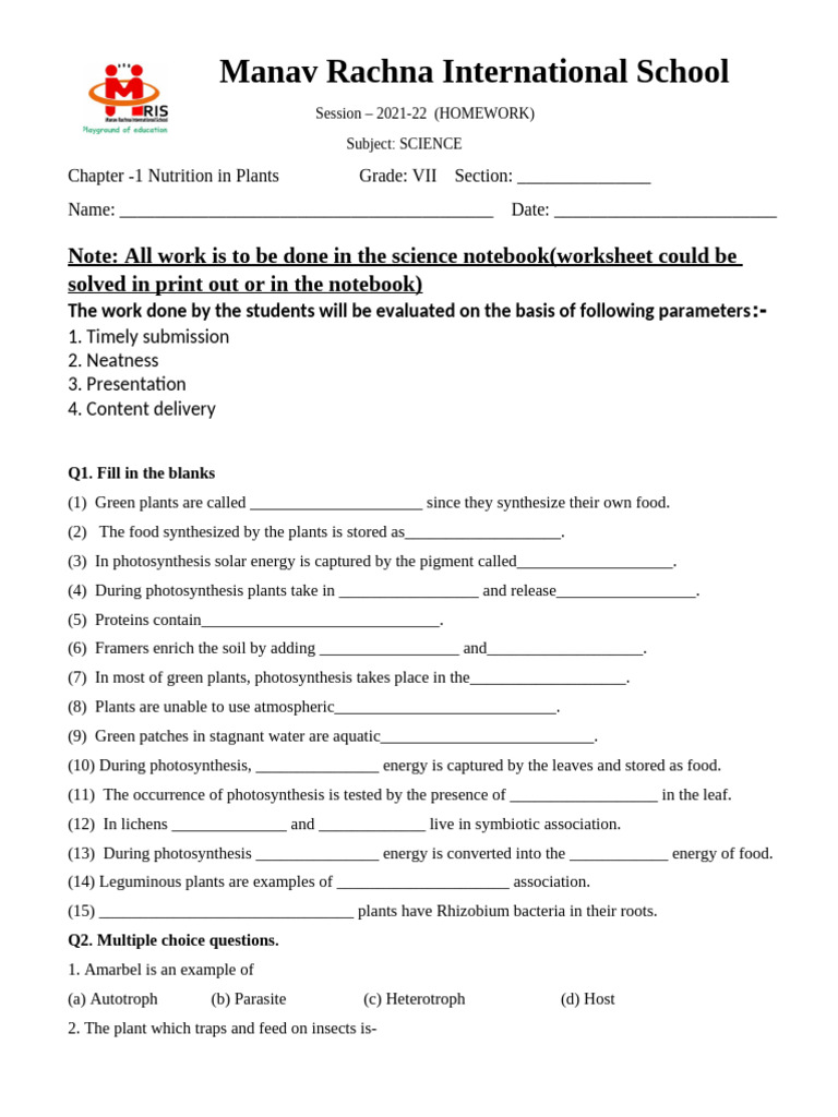 Grade VII Science Homework on Plant Nutrition | PDF | Plants ...