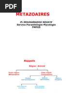 Définition et classification des métazoaires | PDF | Anatomie | Biologie