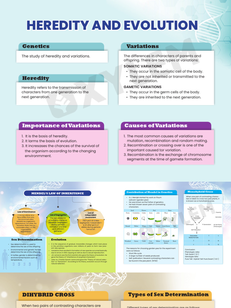 Heredity and Variations in Genetics | PDF | Heredity | Genetics
