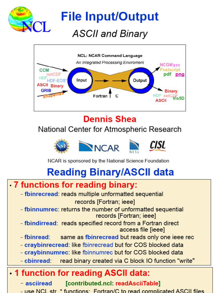 File I/O for ASCII and Binary Data | PDF | Computer Data | Computing