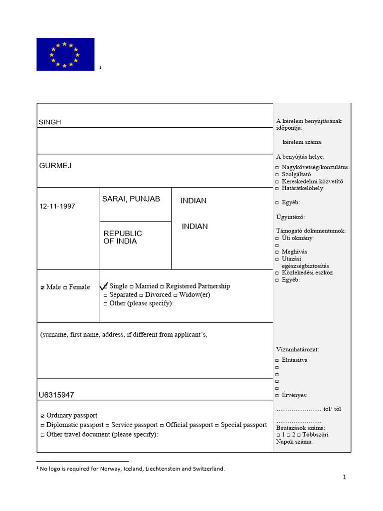 Schengen Visa Application Form Guide | PDF | Travel Visa | European ...