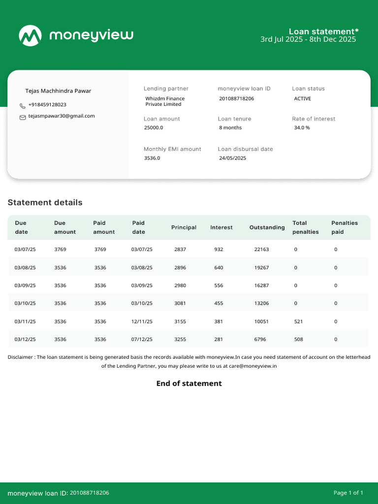Loan Statement Overview and Details | PDF