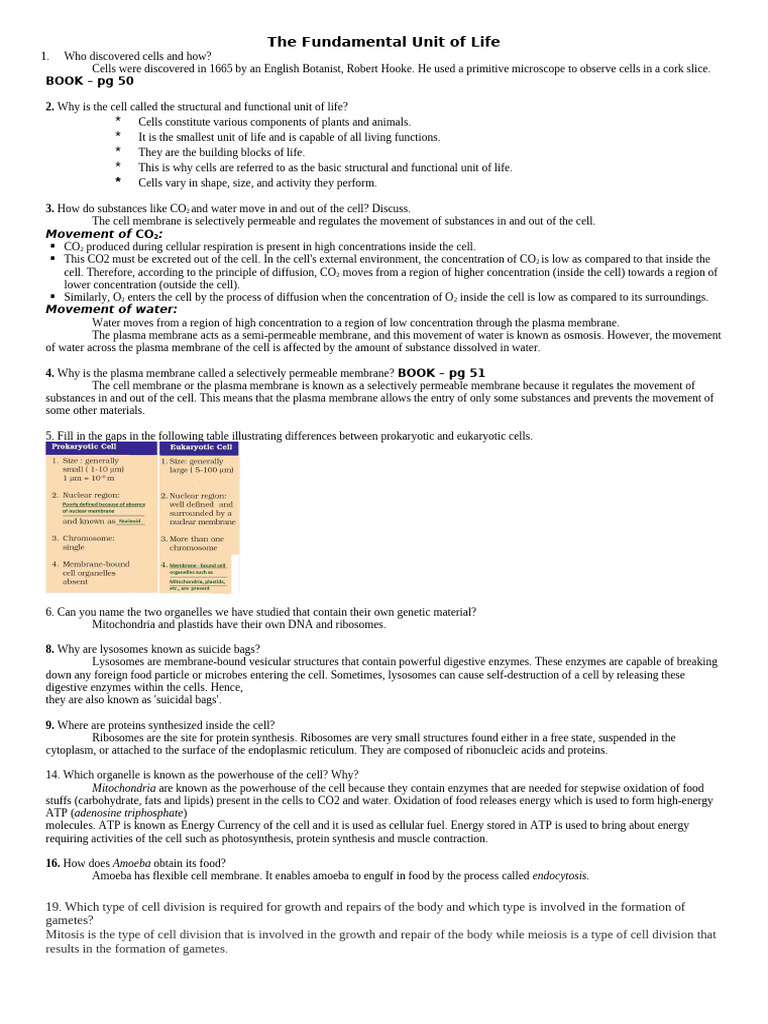 The Fundamental Unit of Life | PDF | Cell (Biology) | Cell Membrane