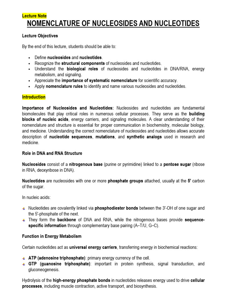 Lecture Note on Nucleosides and Nucleotides Numenclature | PDF ...