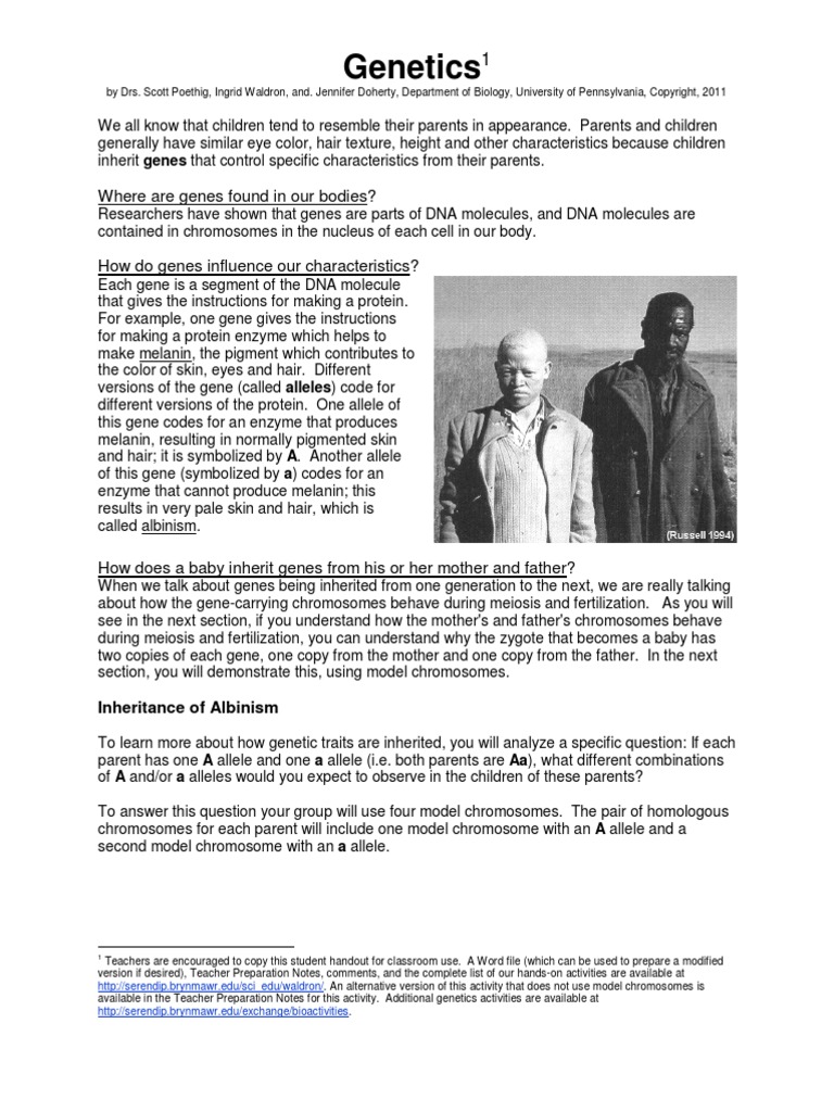 Genetics Protocol | PDF | Zygosity | Allele