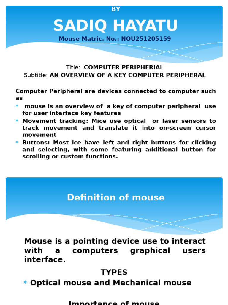 Overview of Computer Mouse Functions | PDF