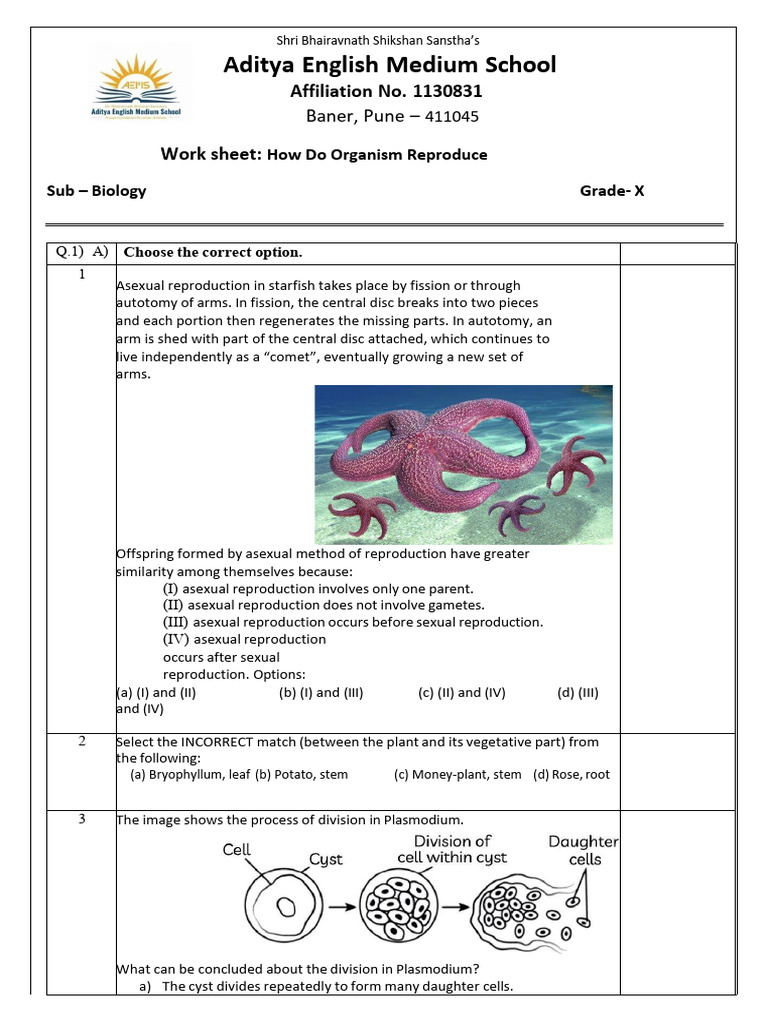 Grade X Biology: Organism Reproduction Worksheet | PDF | Flowers ...