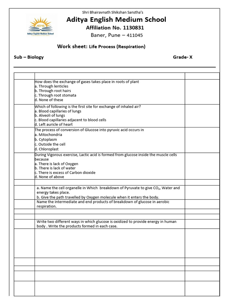 Class 10 Life Process Worksheet | PDF | Cellular Respiration | Biology