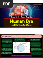 Common Ophthalmic Terminology Glossary | PDF | Eye | Human Eye