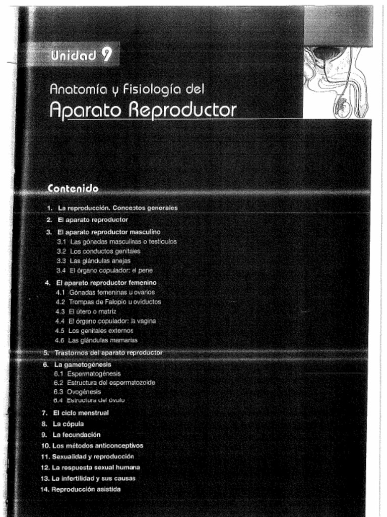 Tema Aparato Reproductor | PDF