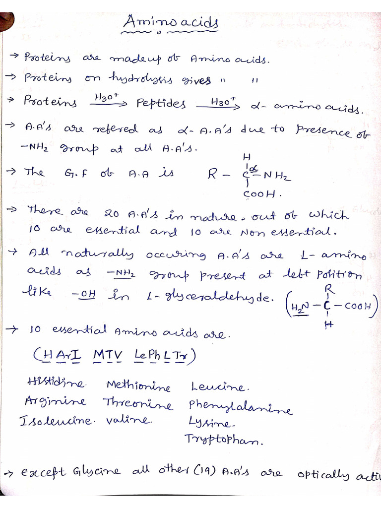 Biomolecules...Notes | PDF