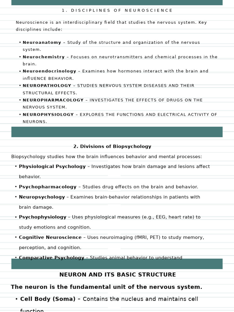Neuroanatomy | PDF | Neuron | Action Potential