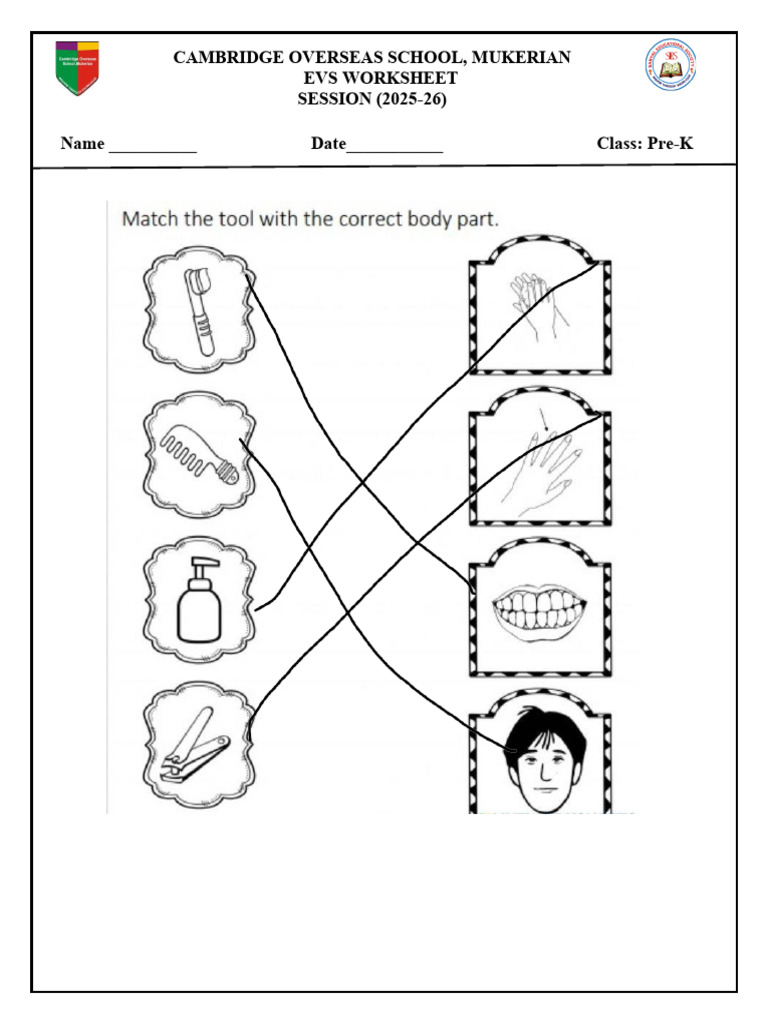 Evs Worksheet Worksheet Pre K | PDF