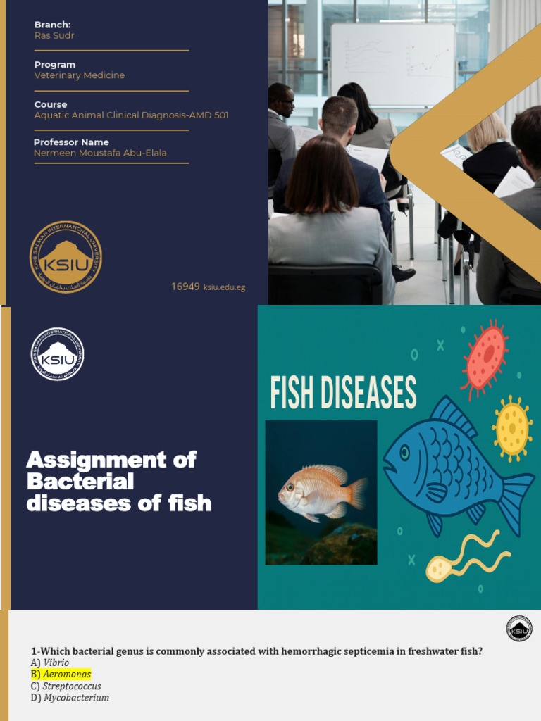 Assignment of Bacterial Diseases in Fish | PDF | Bacteria | Mycobacterium