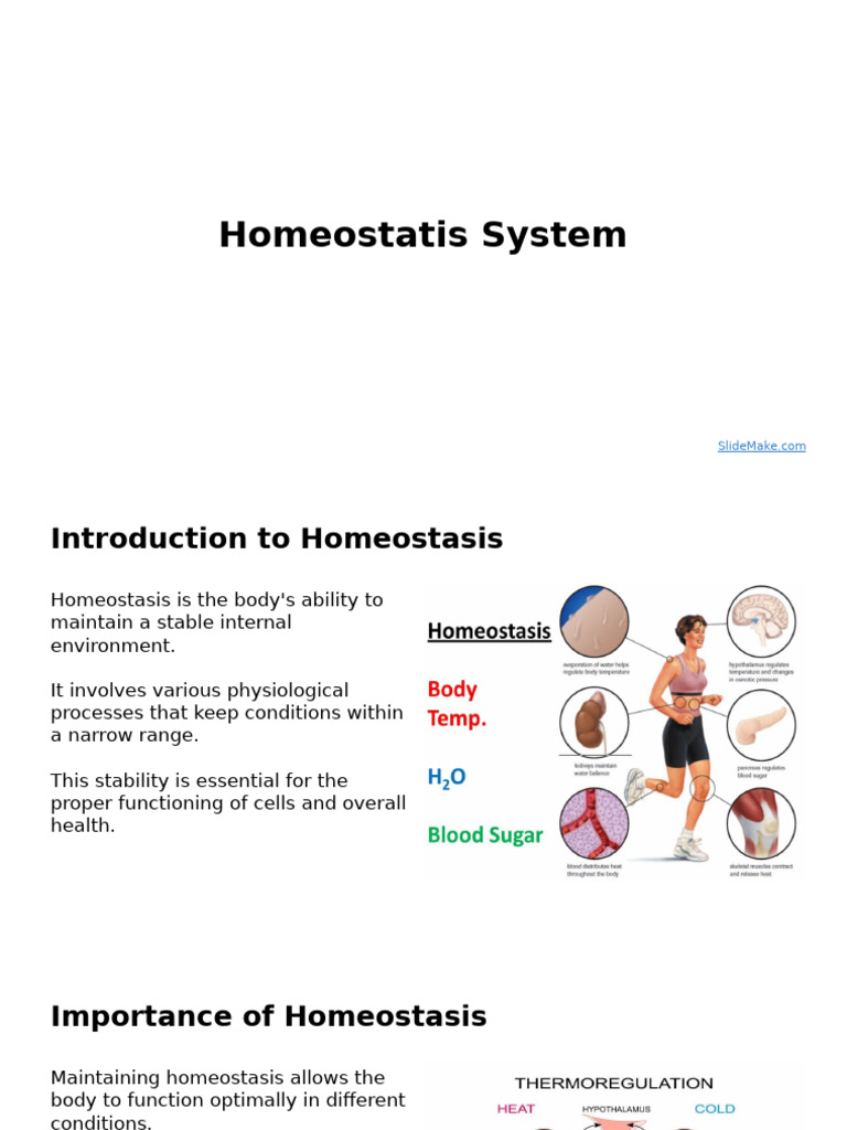 Understanding Homeostasis in Biology | PDF | Homeostasis | Physiology