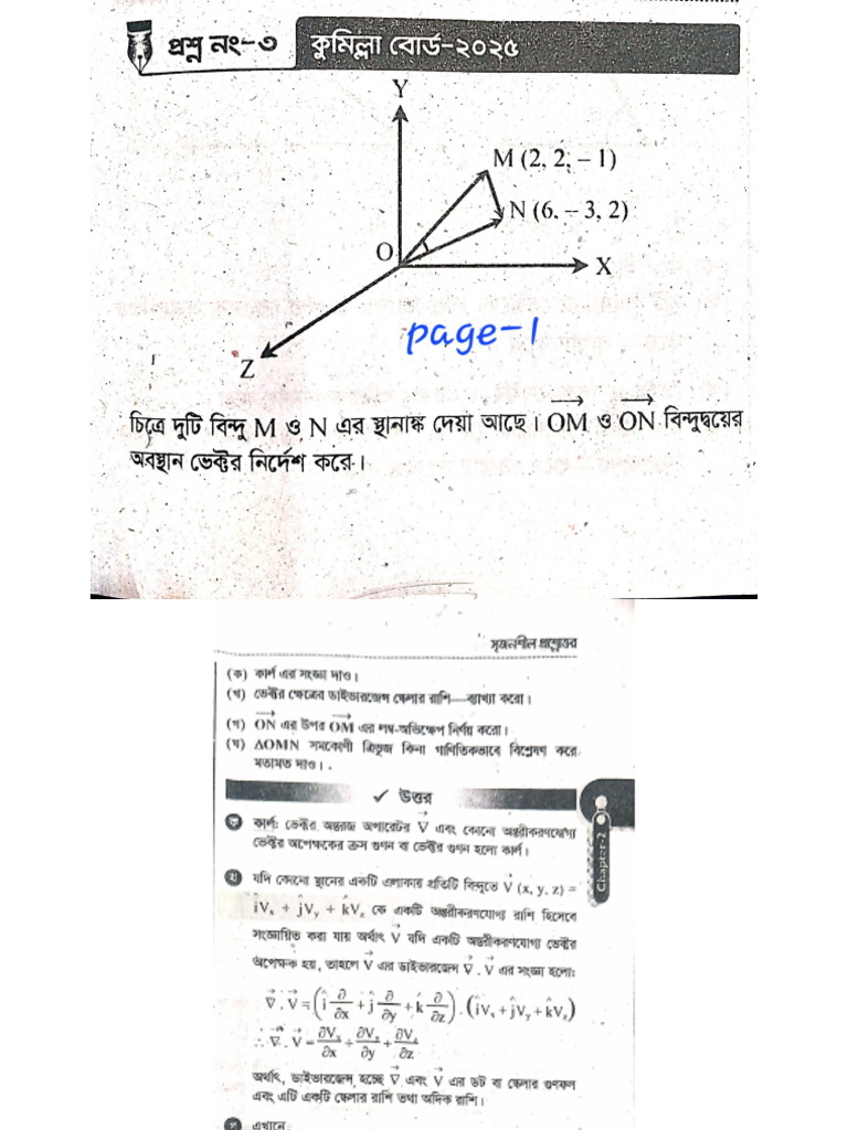 Physics Vector H.W (Miraz Sir) (1) | PDF