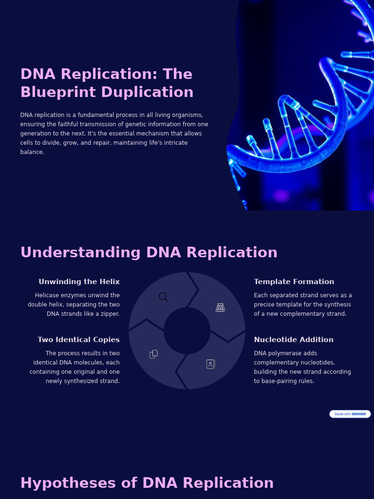DNA Replication The Blueprint Duplication | PDF | Dna | Dna Replication