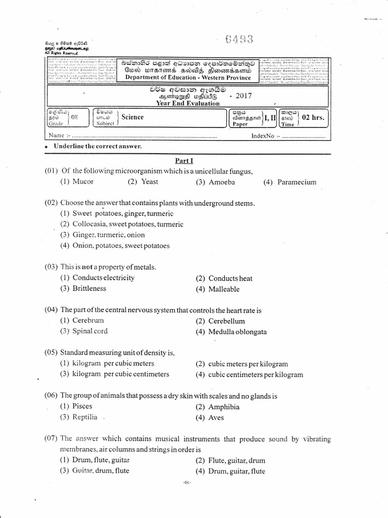 Grade 8 Paper 2 | PDF