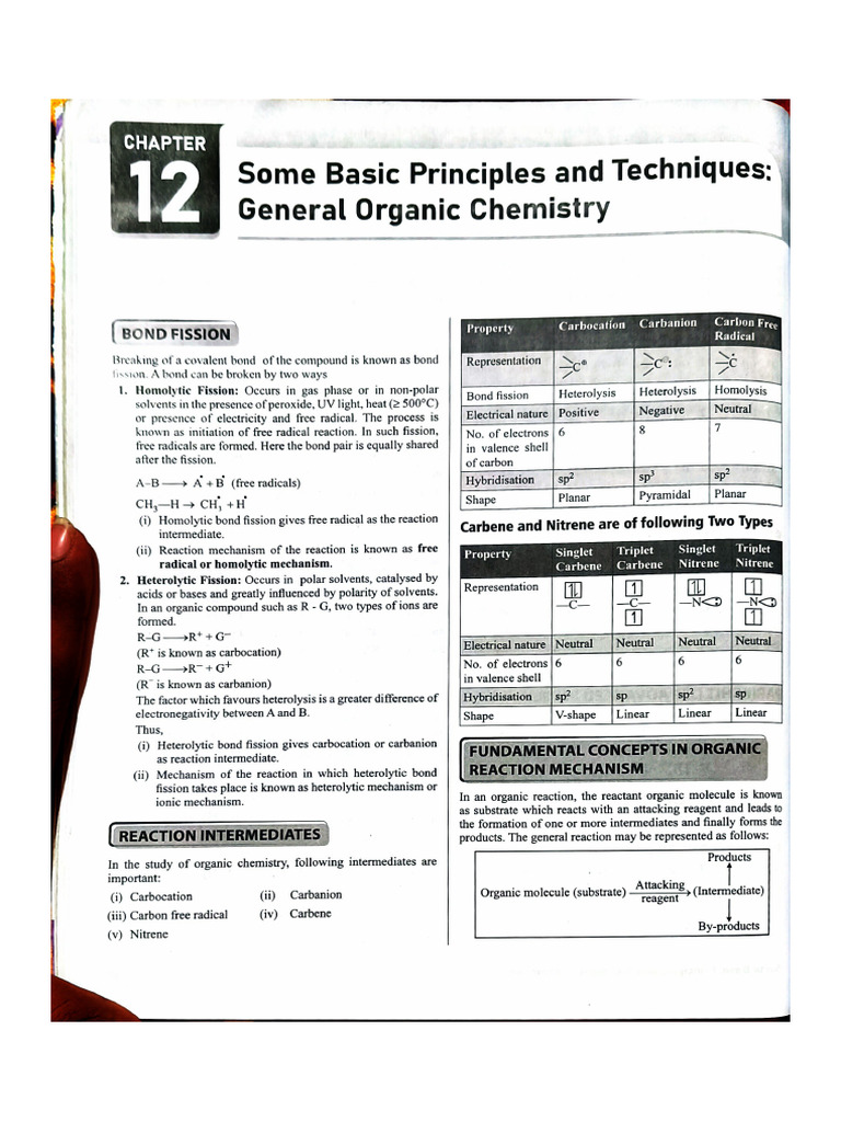 Image to PDF 20250704 13.48.49 | PDF