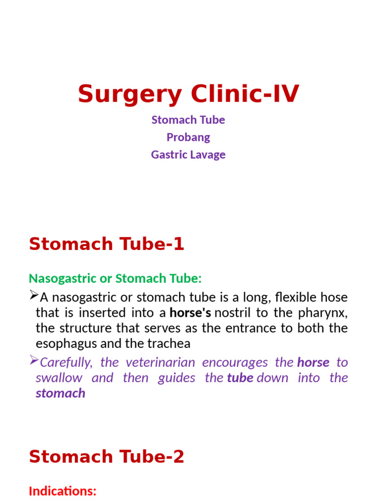Stomach Tube, Probang & Gastric Lavage | PDF | Stomach | Clinical Medicine
