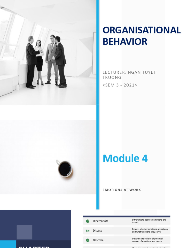 Module 4 Emotions | PDF | Emotions | Emotional Intelligence