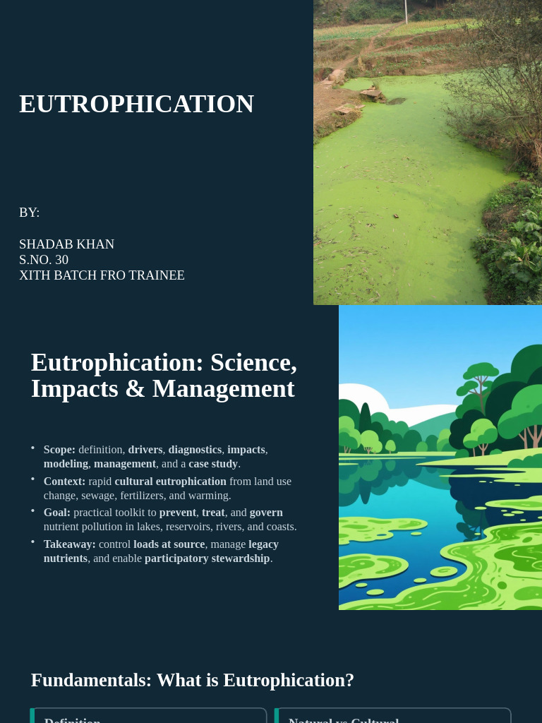 Eutrophication: Causes, Effects, and Solutions | PDF | Eutrophication ...