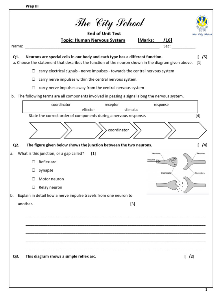 Unit 1 End of Unit Test | PDF | Nervous System | Central Nervous System
