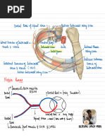 Intramural vs. Extramural Sports Explained | PDF | Physical Fitness ...