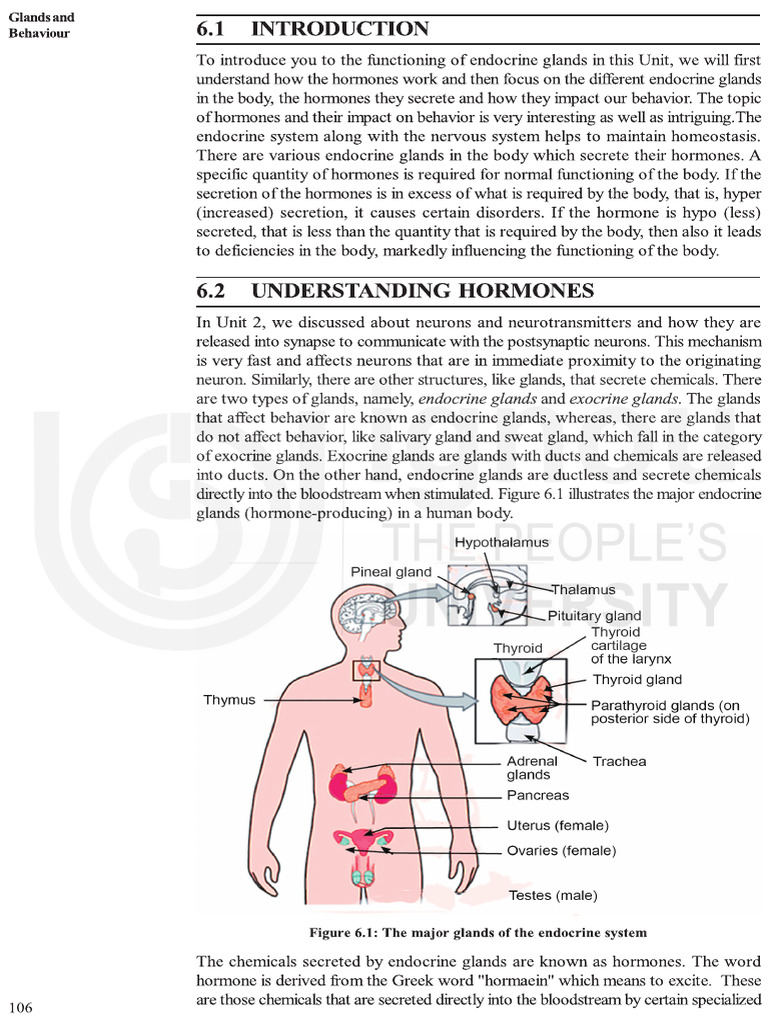 Hormones 4 15 | PDF