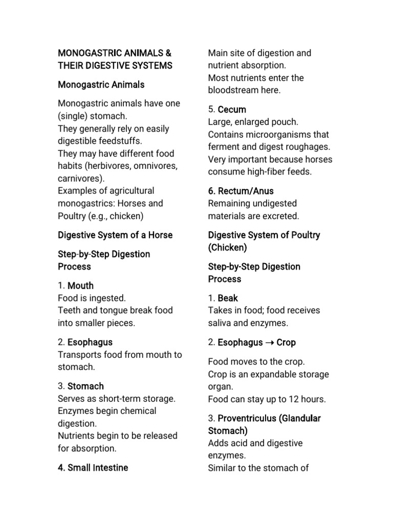 Monogastric Animals' Digestive Systems | PDF | Digestion | Foods