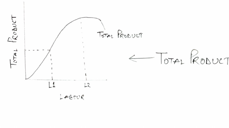 Total Product | PDF