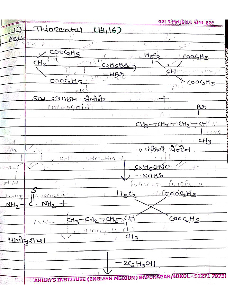 504 Unit 2 | PDF